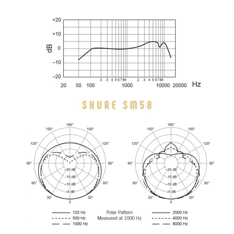 میکروفون داینامیک حرفه ای SHURE SM 58 اوریجینال در ایران صوت